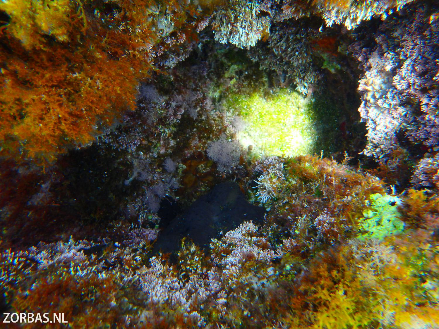 Snorkelling at various locations on Crete Greece