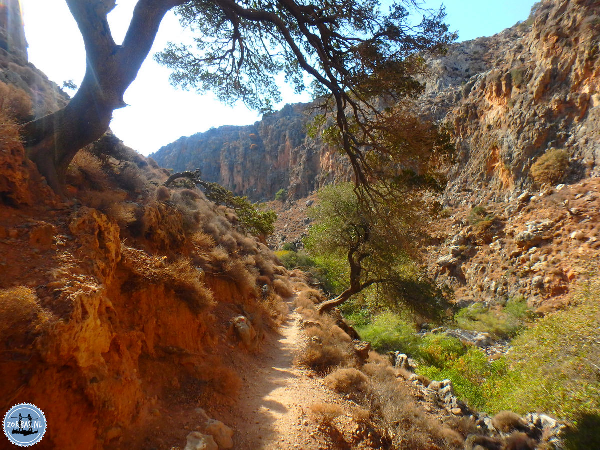 Kato Zakros walking in the gorge