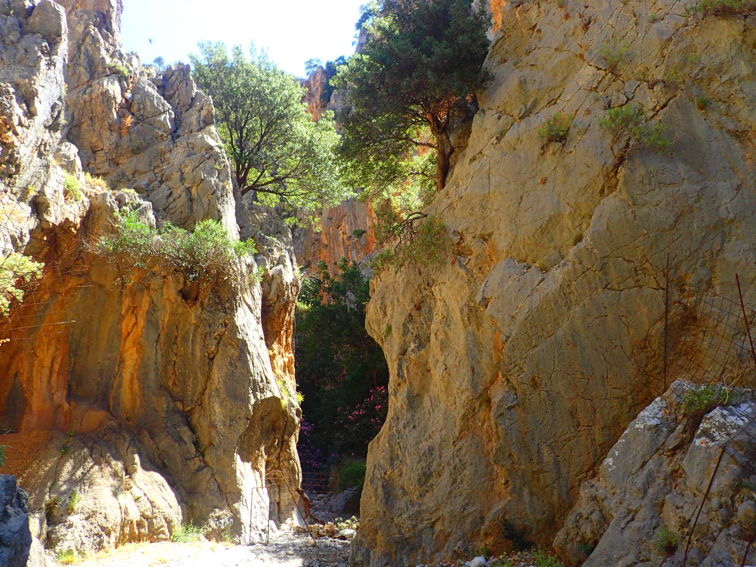 Kritsa Schlucht Kreta – einzigartige Rundwanderung