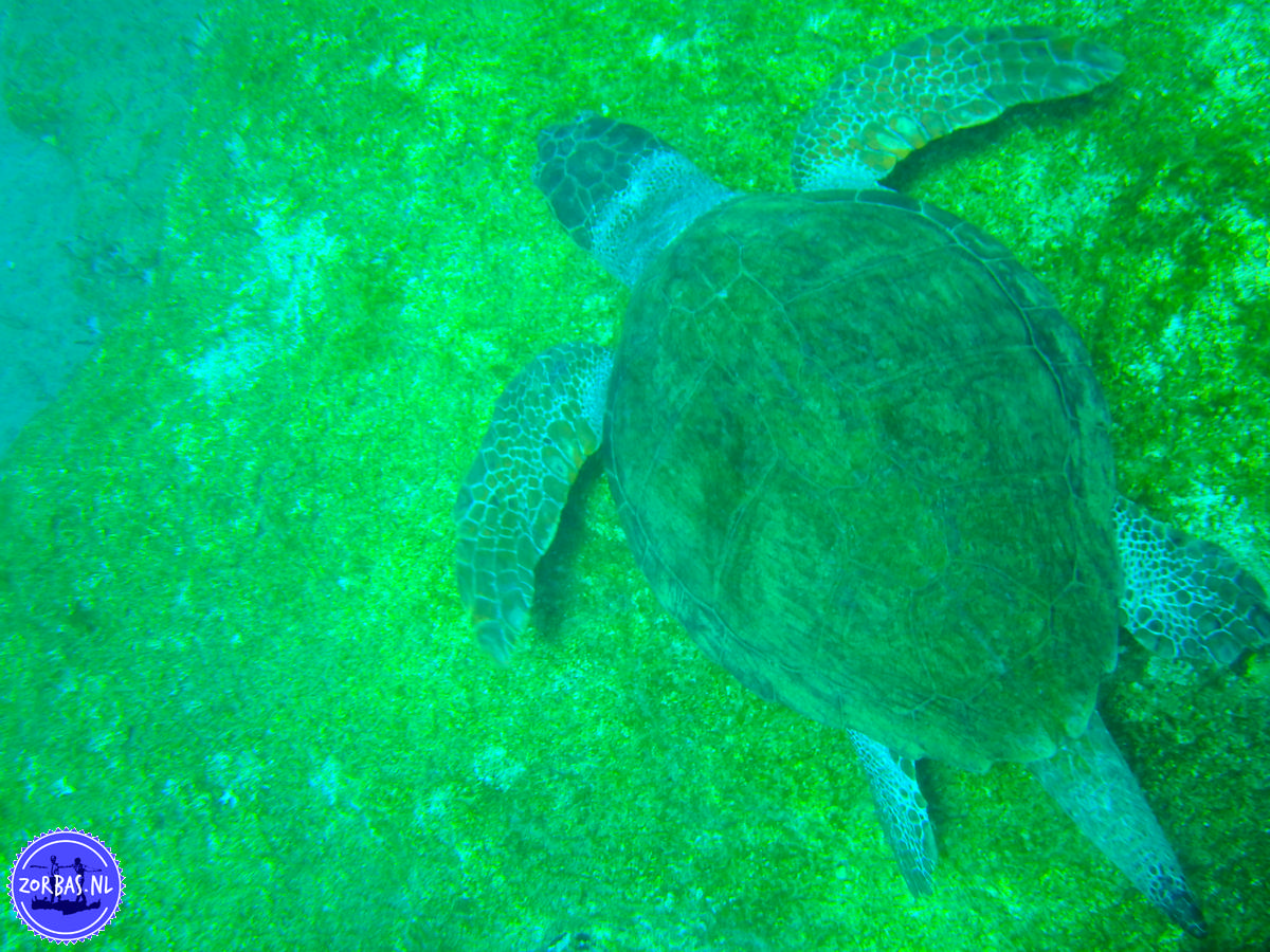 Snorkelling in Crete Greece