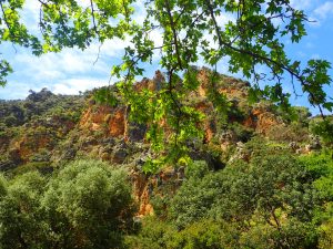 Kreta in september Reisbestemming